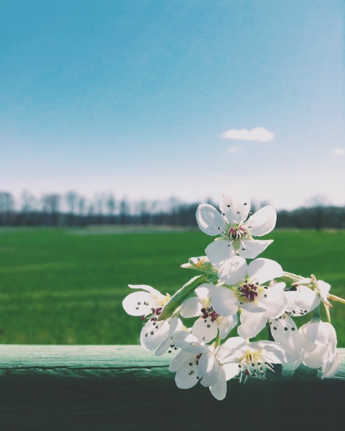 Processed with VSCO with c1 preset